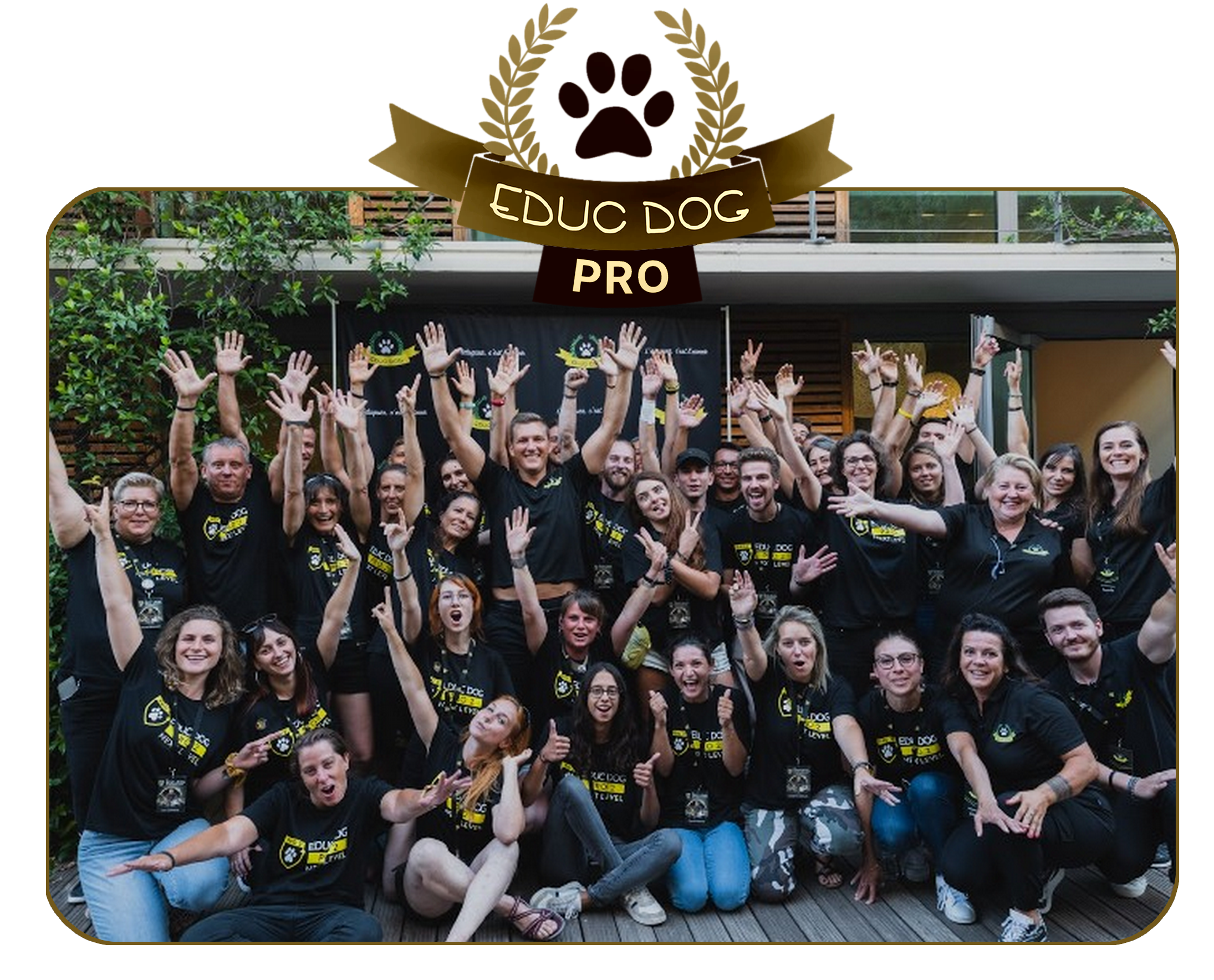 Formation Éducateur Canin Comportementaliste : Devenez un Expert