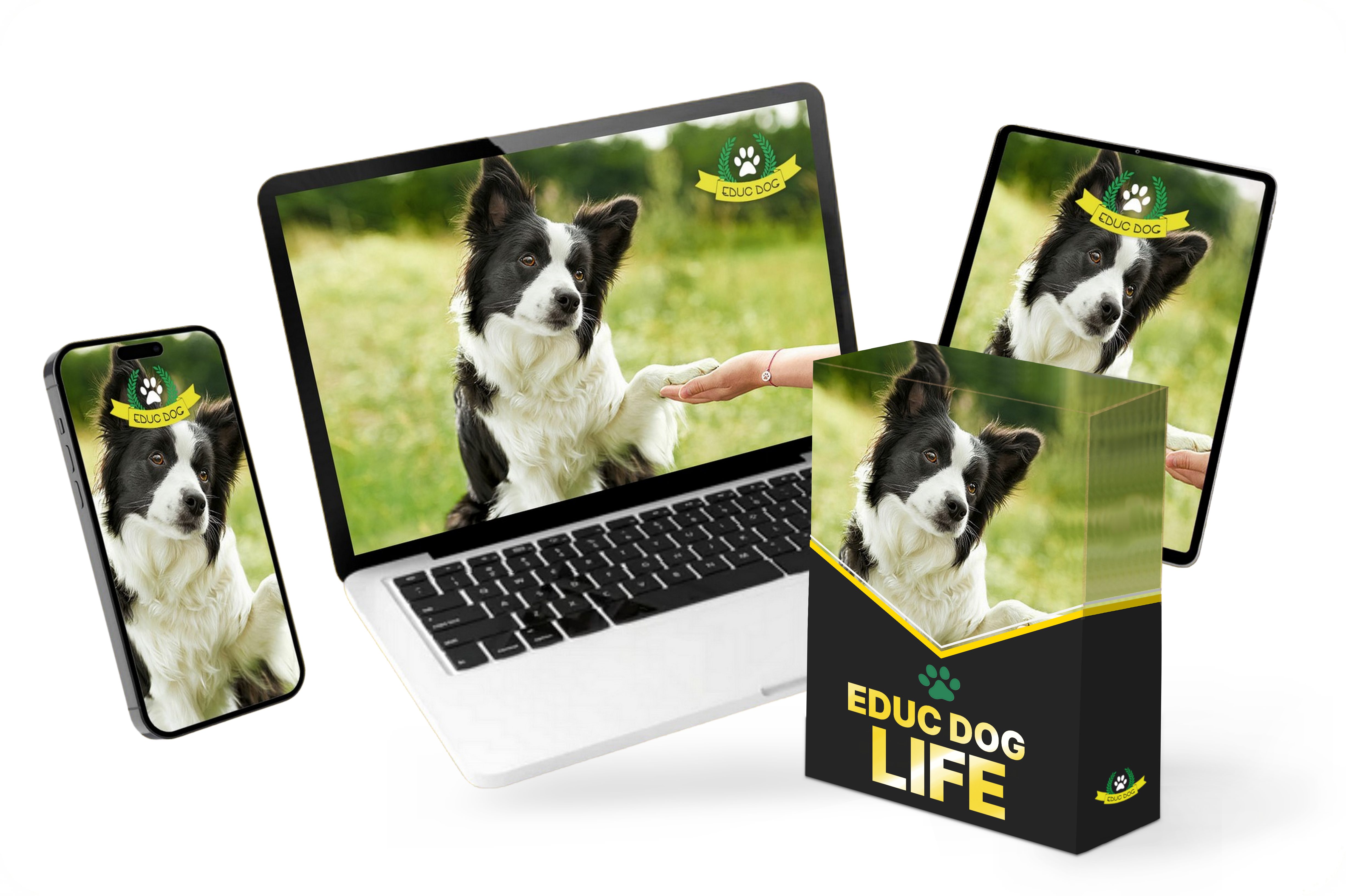 Formation Educ Dog Life